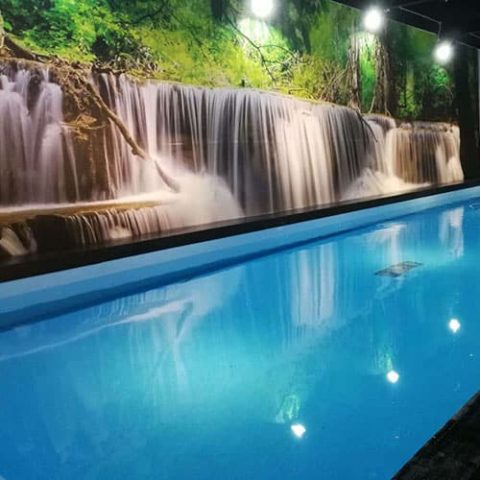 Swimming Lessons Singapore | Happy Fish Swim School