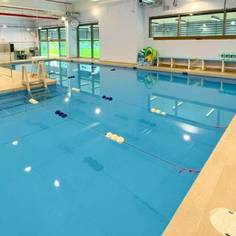 Swimming Lessons Singapore | Happy Fish Swim School
